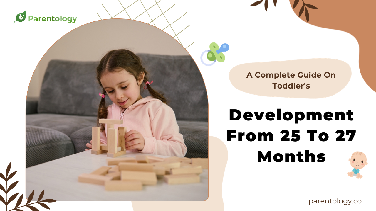 Potential Of Toddlers Development Stages at 25-27 Months